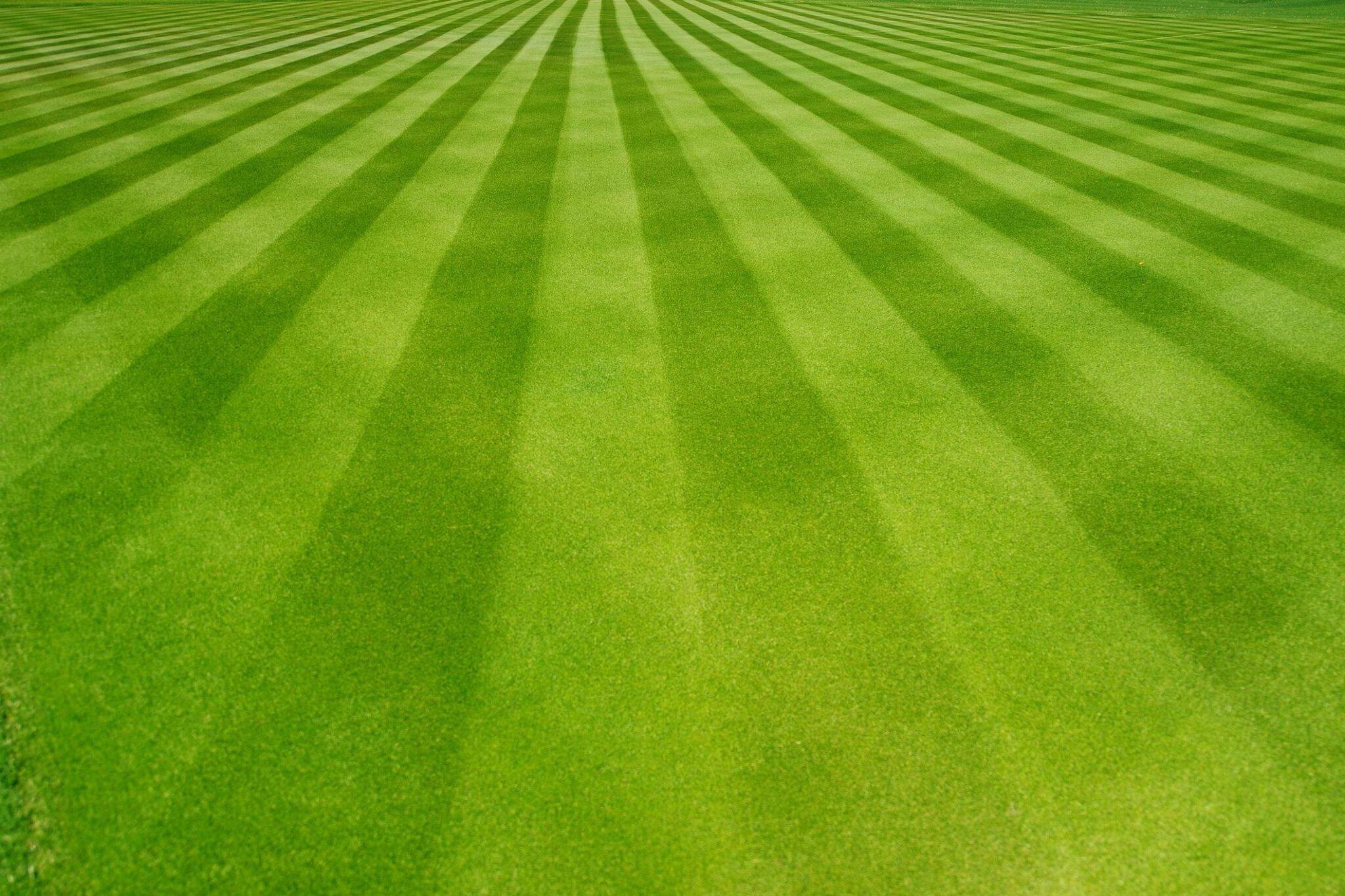 Home - Elk River Turf and Tine